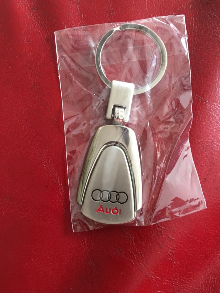 Audi logo Keychain